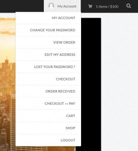 Navigation Menu – Jegtheme Support & Documentation
