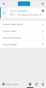 Module Element Option – Jegtheme Support & Documentation