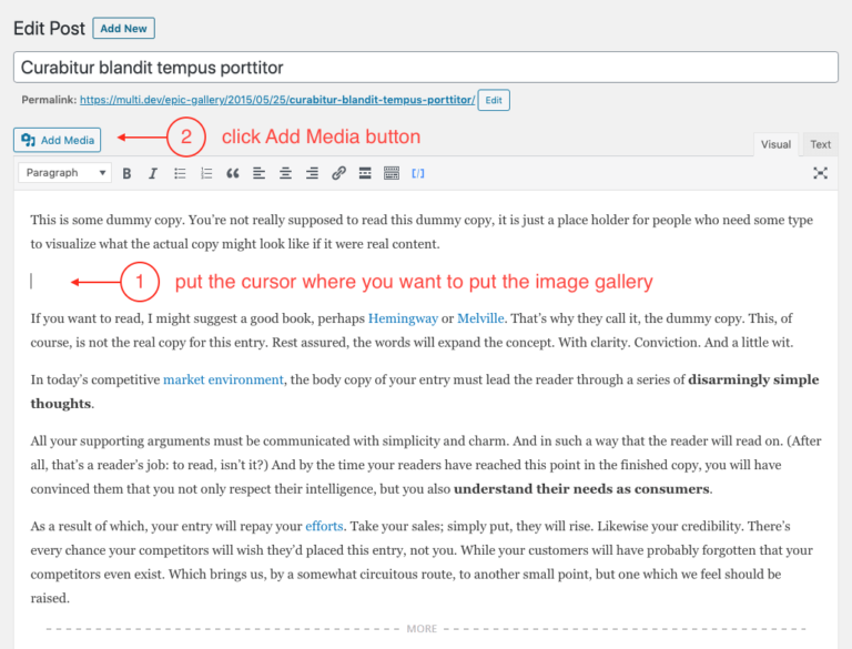 Epic Gallery Element – Jegtheme Support & Documentation